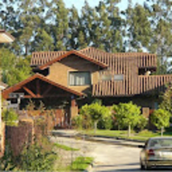 mario vera | profe.social